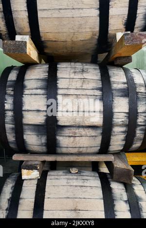 Oak barrels stacked with tequila ready for maturation Stock Photo - Alamy