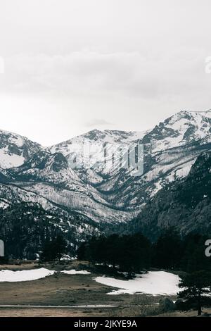 A vertical shot of the snow-capped forest Stock Photo - Alamy