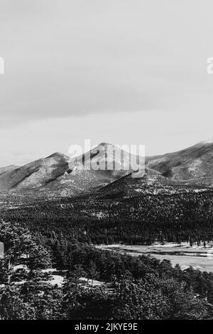 A grayscale shot of trees with the background of mountains in fog near ...
