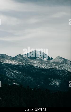 A vertical shot of the snow-capped forest Stock Photo - Alamy