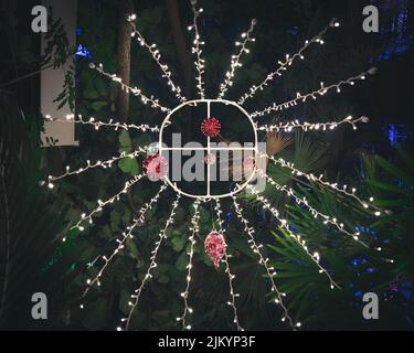 A low angle shot of bright red leaves on an autumn bush Stock Photo - Alamy