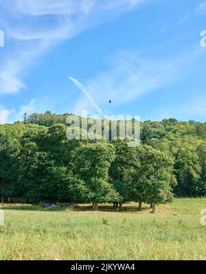 Countryside, farmland and forest - close to Lyon, France. A series of ...