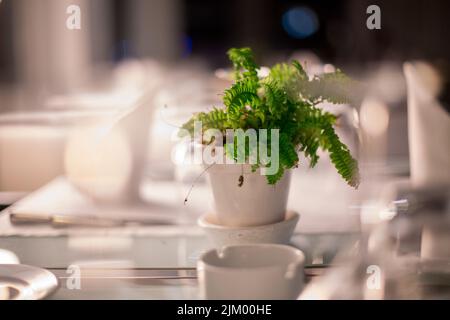 Empty dinner table in a luxurious hotel Stock Photo - Alamy