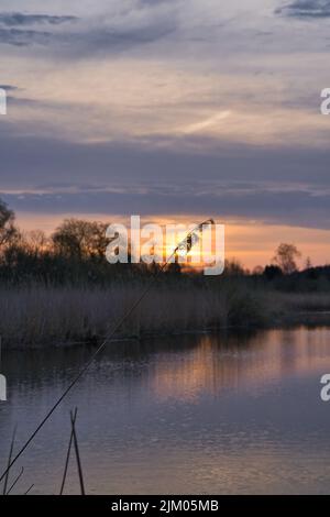 Vertical shot of a shining sunset over a sea shore Stock Photo - Alamy
