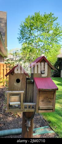 A vertical shot of wooden birdhouses in different sizes on a tree Stock ...