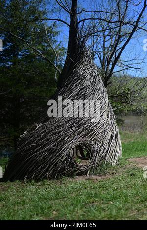 A vertical shot of a lush greenery under the blue sky Stock Photo - Alamy