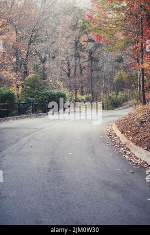 A vertical shot of a road surrounded by autumn trees Stock Photo - Alamy