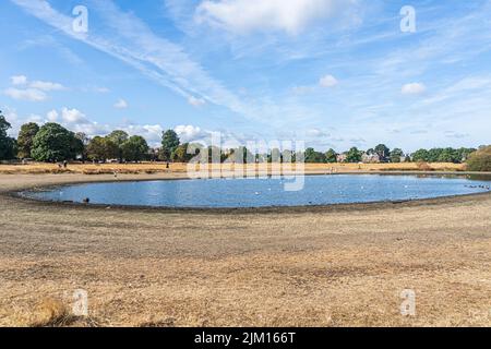 Rushmere Pond, Wimbledon Common, London, England Stock Photo - Alamy