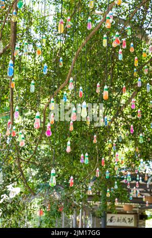 There are many wishing cards hanging on a big banyan tree Stock Photo ...