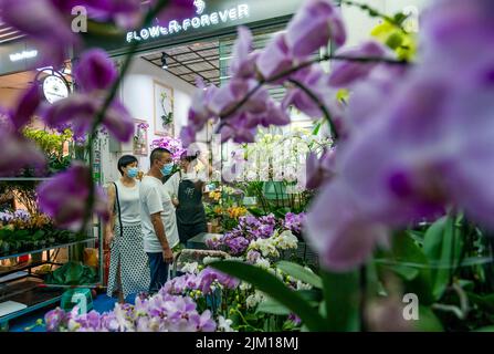Flower market in Kunming, Yunnan province, China Stock Photo - Alamy