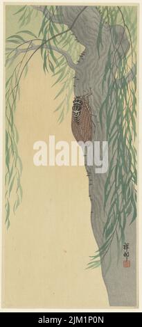 Ohara Koson – Cicada on a Tree Trunk (Semi) | Archium Stock Photo - Alamy