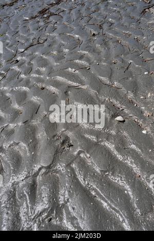 Wet sand groove formations at the shore line. Panoramic 125 Degrees in ...