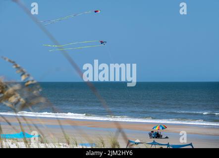 Colorful kites at the coast of the atlantic ocean in Tarifa, a popular ...