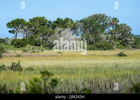 FORT MOSE free black settlement shown at right as "Negro fort" on a ...