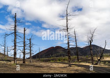 Fields with black sand and hills in the area of the Tolbachik volcano ...