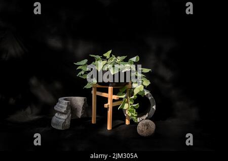 Designer planter on stone with black background Stock Photo - Alamy
