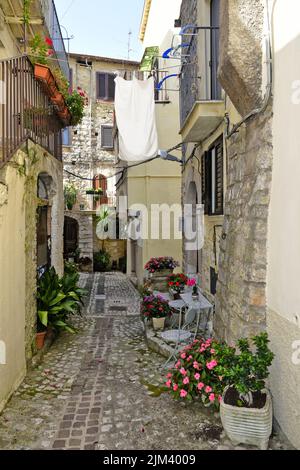 A vertical shot of a narrow alley in a beautiful town in Alsace on a ...