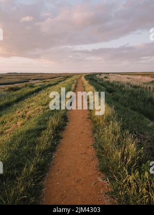 The raised path through the Burnham Deepdale Brancaster North Norfolk ...