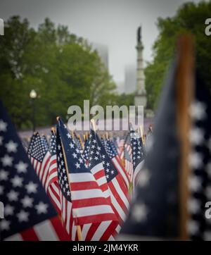A beautiful view of american flags placed in remembrance of fallen ...