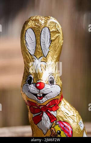 A closeup shot of a cute rabbit in a park Stock Photo - Alamy