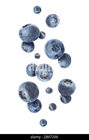 Many falling blueberries on white background Stock Photo - Alamy