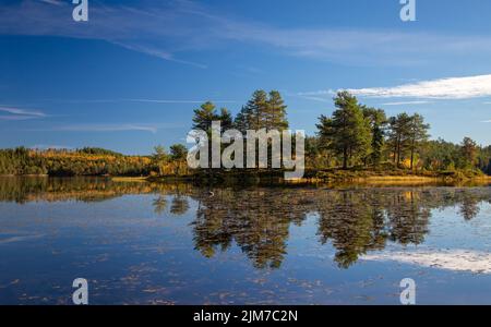 Beautiful sunny day in Bymarka forest area near Trondheim, Norway. View ...