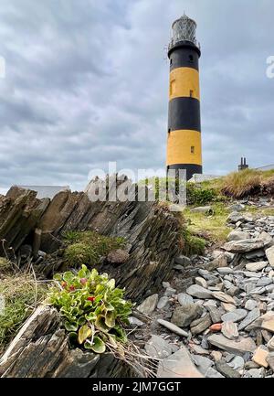 St Johns Point lighthouse is the tallest lighthouse in Ireland. One of ...