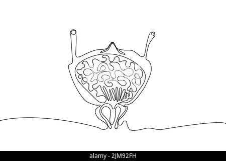 Bladder Hand drawn icon continuous line drawing and pink flat ...