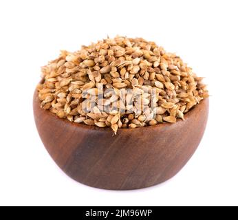 Utsho suneli seeds in wooden bowl and spoon, isolated on white ...