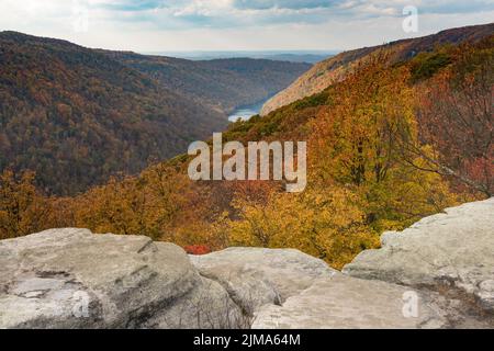 Fall colors in forest at Coopers Rock State Park WV Stock Photo - Alamy
