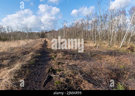 Nature reserve the Wooldse veen in Winterswijk in the Netherlands Stock ...