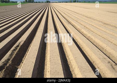 Agriculture, 'furrow cultivation', Germany Stock Photo - Alamy
