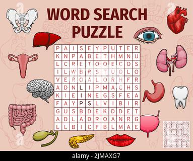 Human body organs, word search puzzle game worksheet vector riddle grid ...