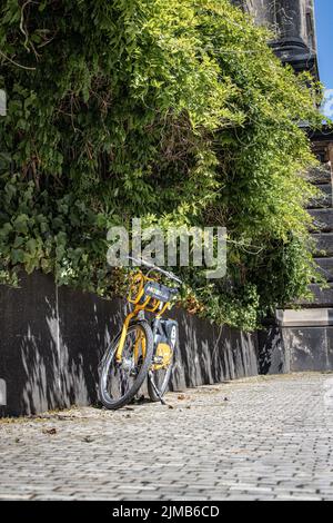 A vertical shot of a green tree in a field in Warwickshire Stock Photo ...