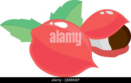 Guarana Fruit Icon Stock Vector Image & Art - Alamy