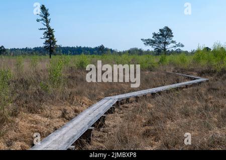 Nature reserve the Wooldse veen in Winterswijk in the Netherlands Stock ...