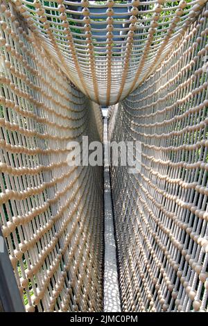 Tree roof path Hainich, UNESCO World Heritage Site, Thuringia, Germany ...