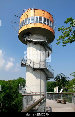 Tree roof path Hainich, UNESCO World Heritage Site, Thuringia, Germany ...