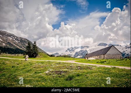 Plateau of Montasio. Mountain range landscape Stock Photo - Alamy