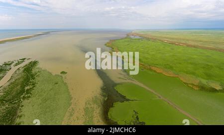 Laguna Sacalin, drone image, aerial photograph, Danube Delta Biosphere ...