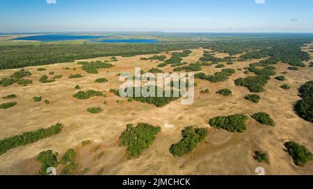 Letea Forest, Europe's northernmost subtropical forest, Grindul Letea ...