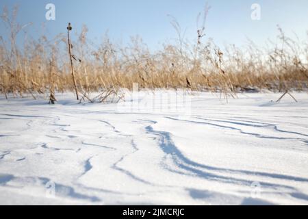Snow drifts caused by wind from powder snow look like dunes and form ...