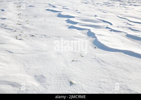 Snow drifts caused by wind from powder snow look like dunes and form ...