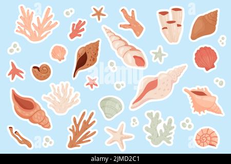 Cute sea shells sticker set vector illustration. Cartoon beach or ...