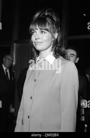 Barbara Feldon Circa 1960's Credit: Ralph Dominguez/MediaPunch Stock ...