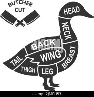 Duck diagram cuts. Butcher scheme poster. Cuts of duck meat. Meat ...