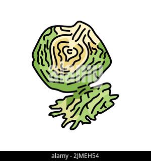 Cabbage color line icon. Natural vegetable Stock Vector Image & Art - Alamy