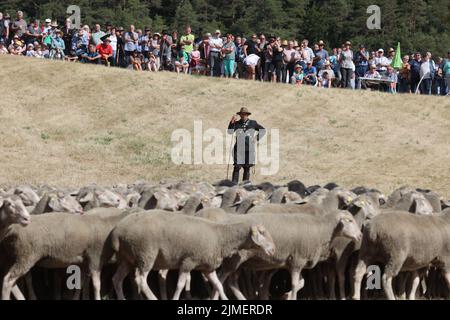 Hohenfelden, Germany. 06th Aug, 2022. Shepherd Herbert Kind from ...
