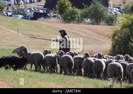 Hohenfelden, Germany. 06th Aug, 2022. Shepherd Herbert Kind from ...