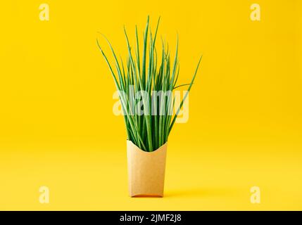Fresh green onions in fast food paper box in woman hand on bright ...
